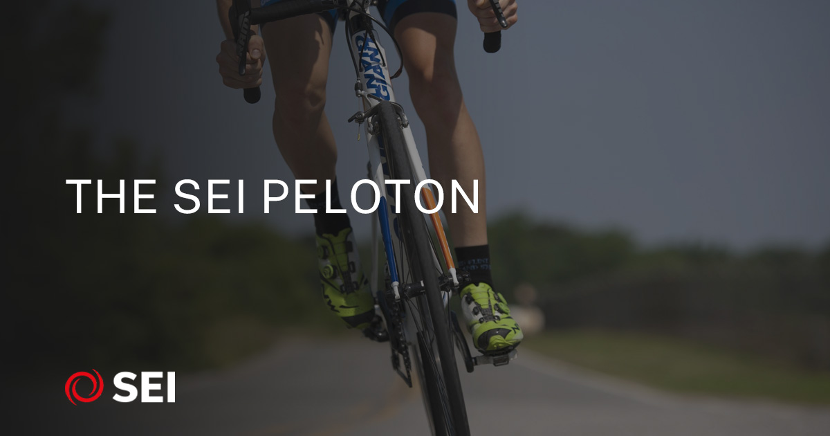 The SEI Peloton | SEI | Business & Technology Management Consulting Firm