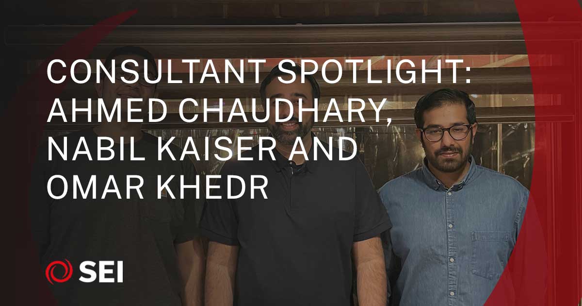 SEI | Insights | Consultant Spotlight